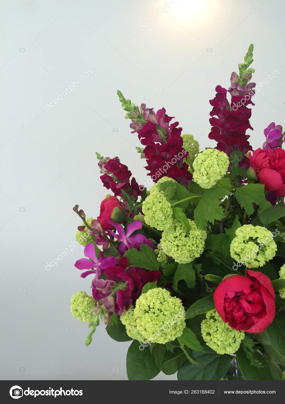 Exotic Bouquet Hydrangeas Orchids Snapdragons Peonies Other Rare ...