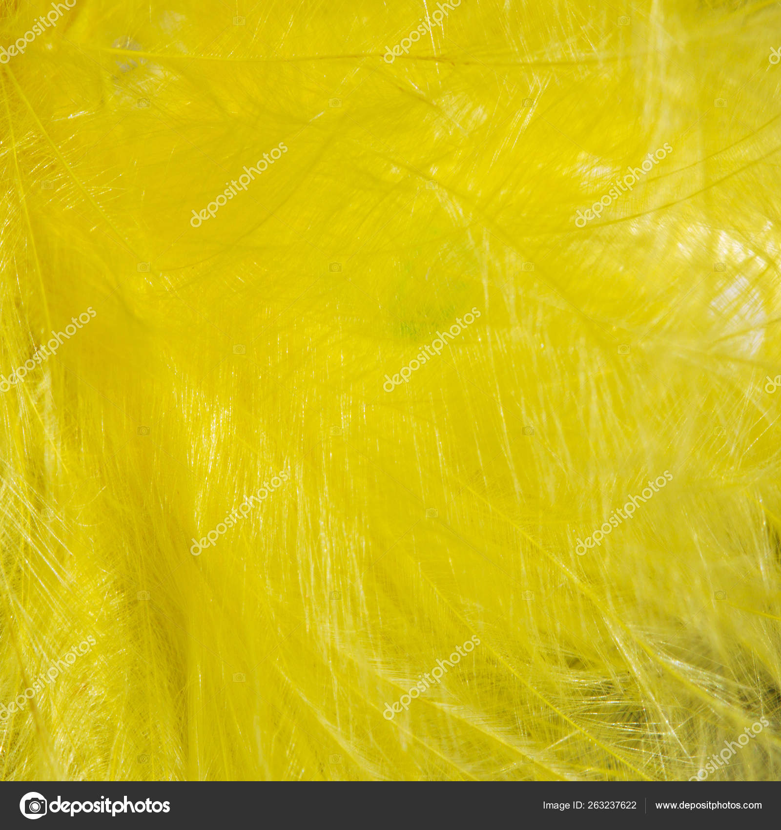 Yellow Bird Feather Texture Background Stock Photo by ©YAYImages 263237622