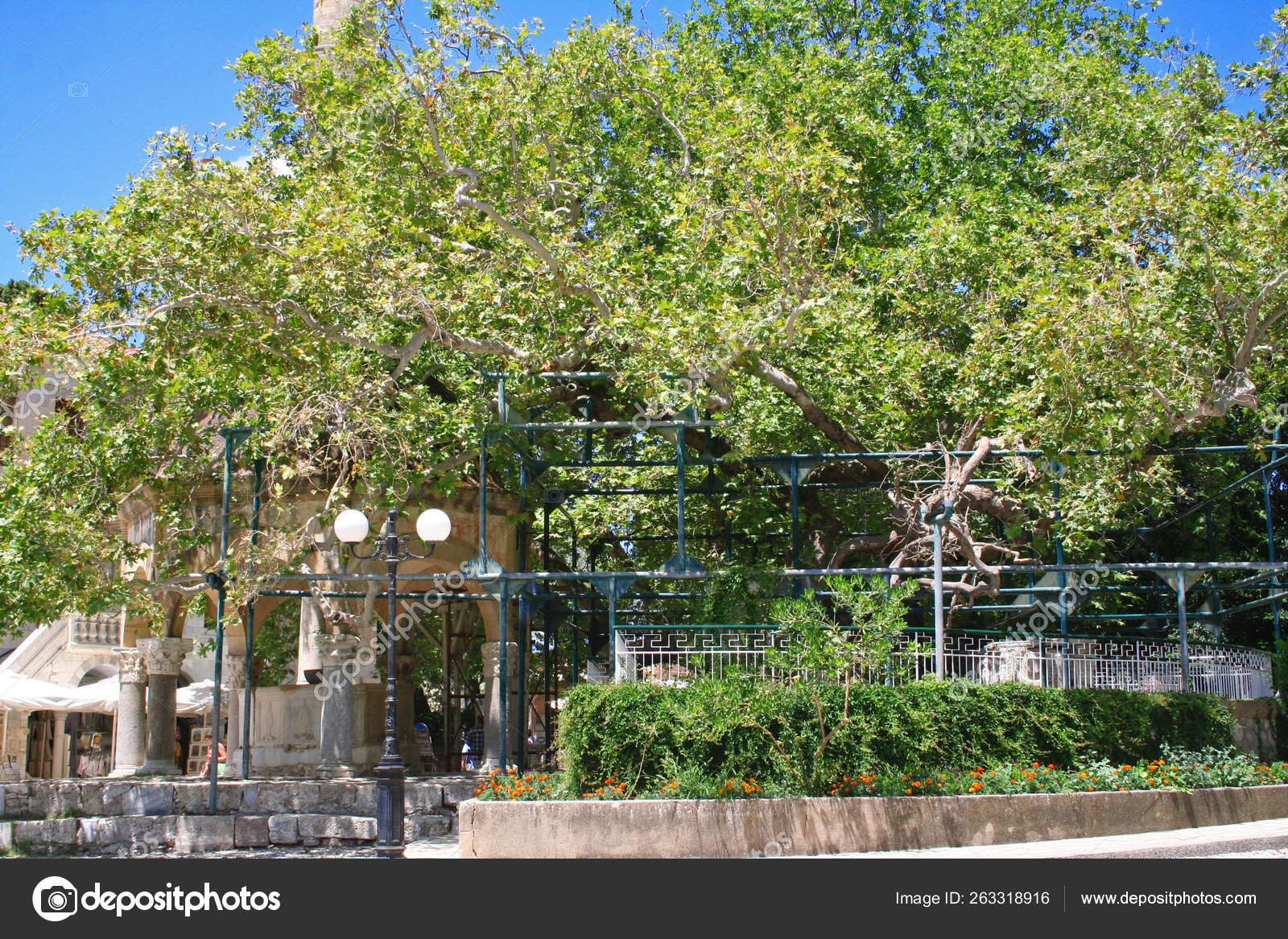 Greece Kos Island Famous Plane Tree Gippokrat Marble Fountain Stock ...