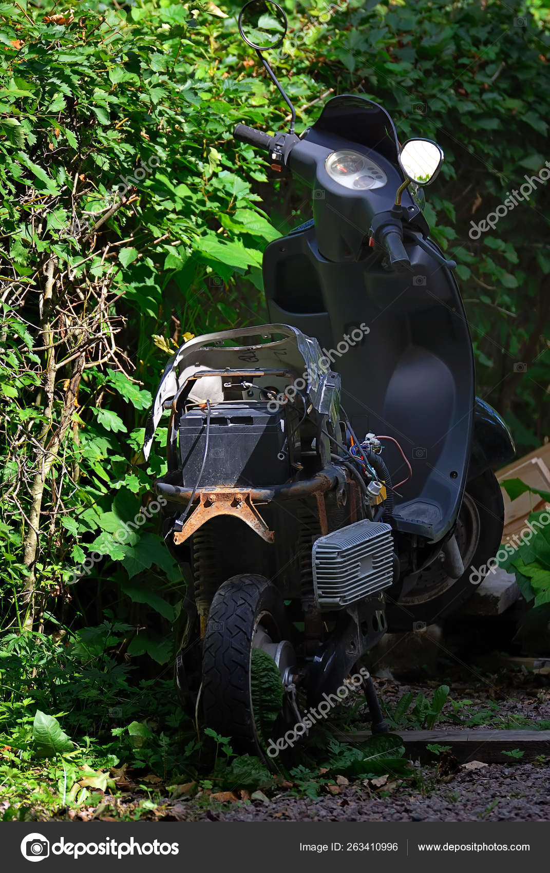 Old Broken Motor Scooter Background Green Bushes Abandoned Yard Bright ...