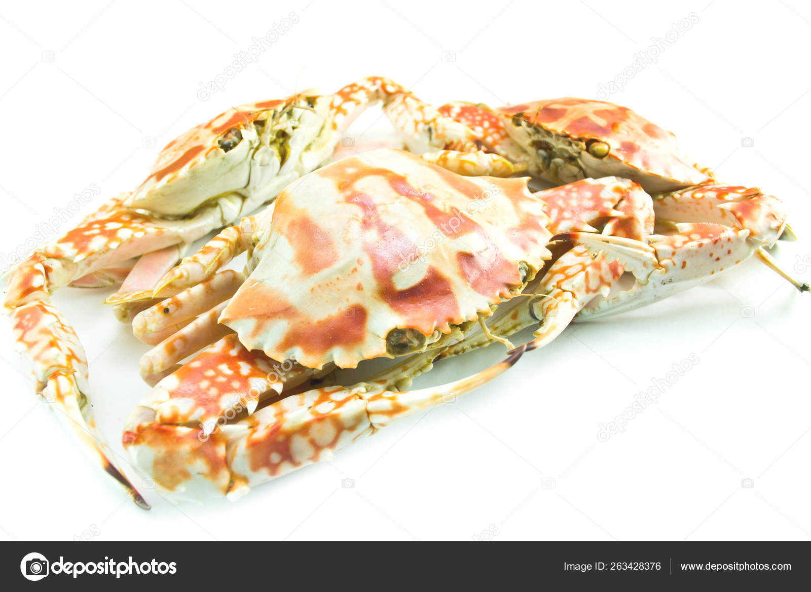 Crab Isolated White Background — Stock Photo © YAYImages #263428376