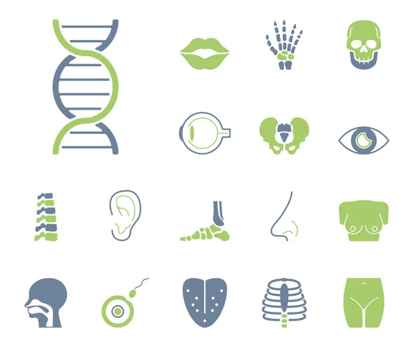 496 Sensory organs Vector Images | Depositphotos