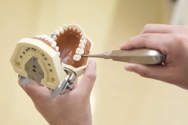 Japanese Children Using Interdental Brush Dentist — Stock Photo © mapo ...