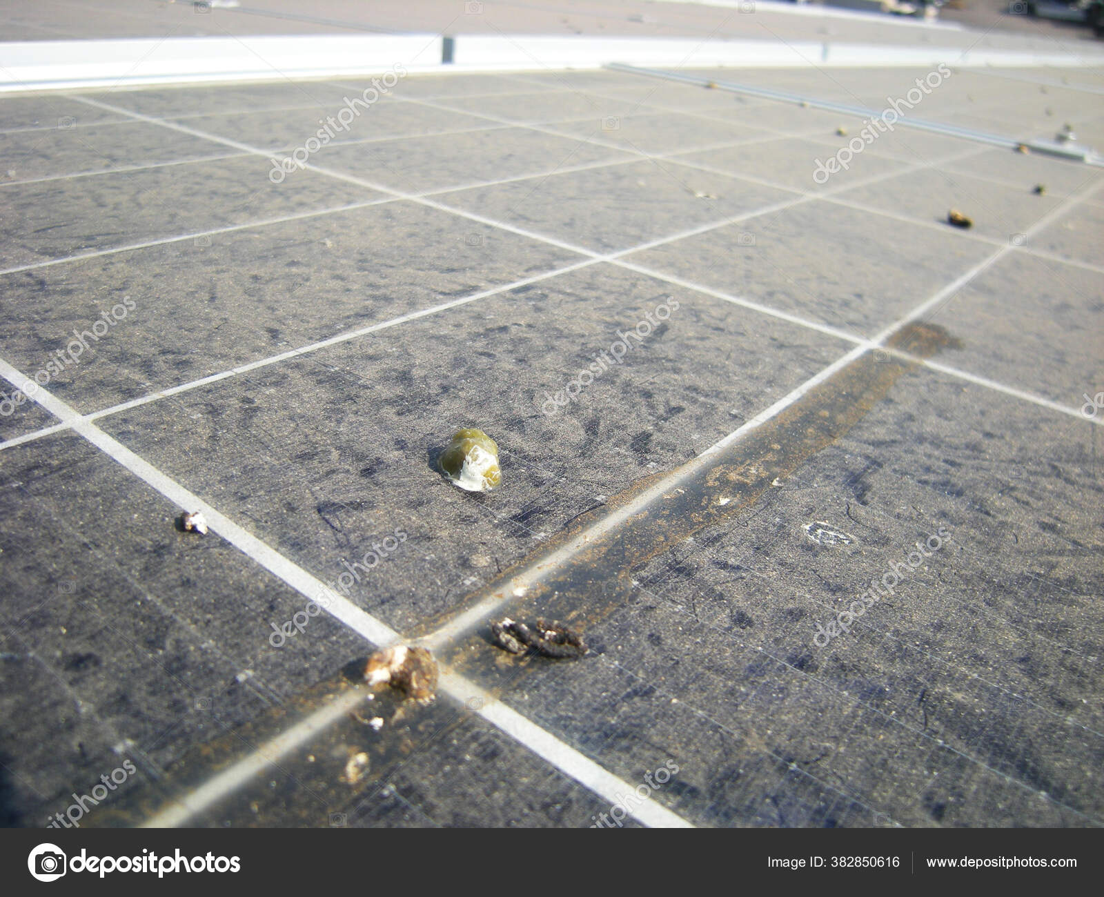 Fresh Bird Poop Dusty Solar Panel Surface — Stock Photo © WichienTep ...