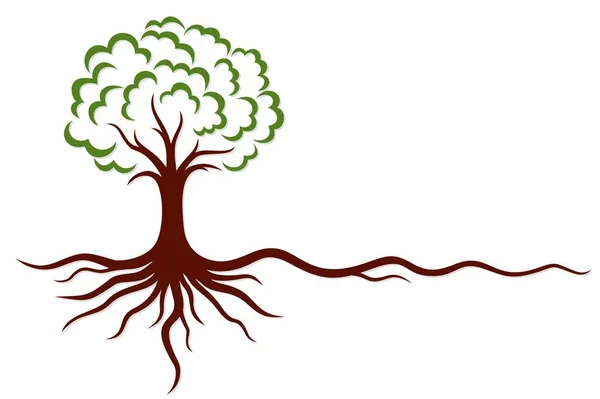 Symbol Tree Roots Stock Vector by ©Designer_an 275595392