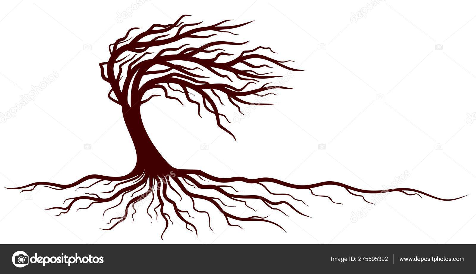 Symbol Tree Roots Stock Vector Image by ©Designer_an #275595392