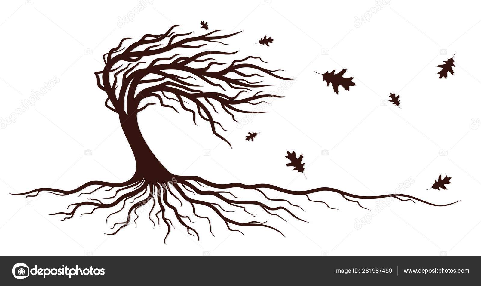 Symbol Tree Roots Stock Vector by ©Designer_an 281987450