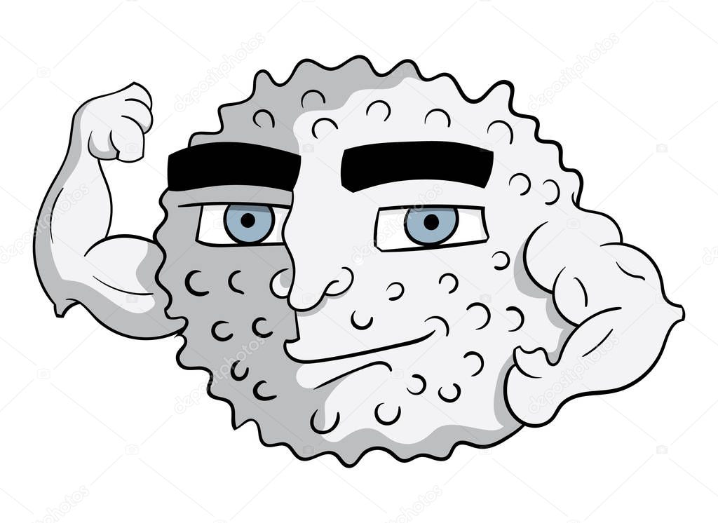 Dibujos Animados Glóbulos Blancos Mostrando Músculos Fuertes Aislados ...