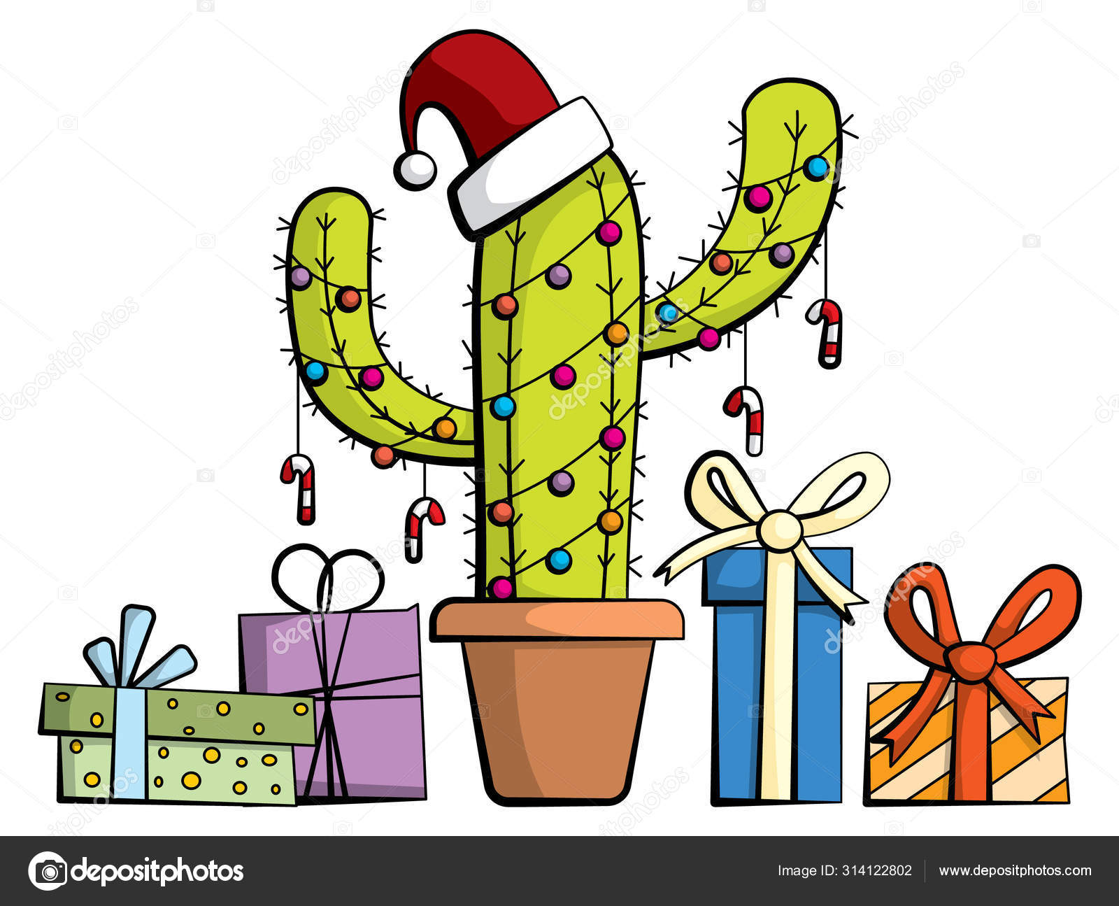 Mexican Christmas Tree Cactus