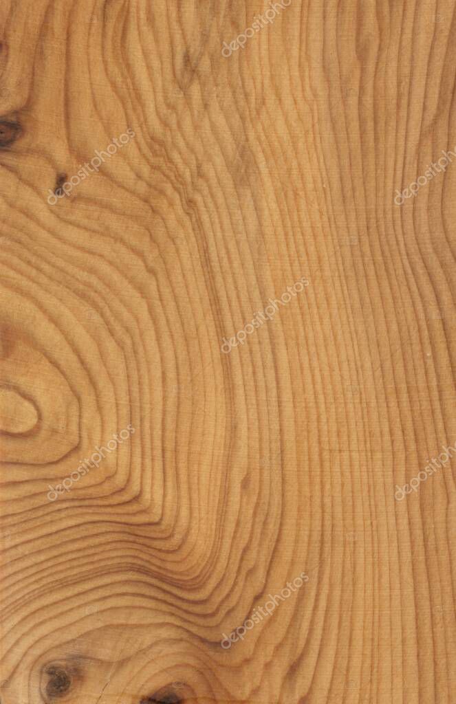 tejo Modelo de árbol de madera muestras madera rural natural 2022