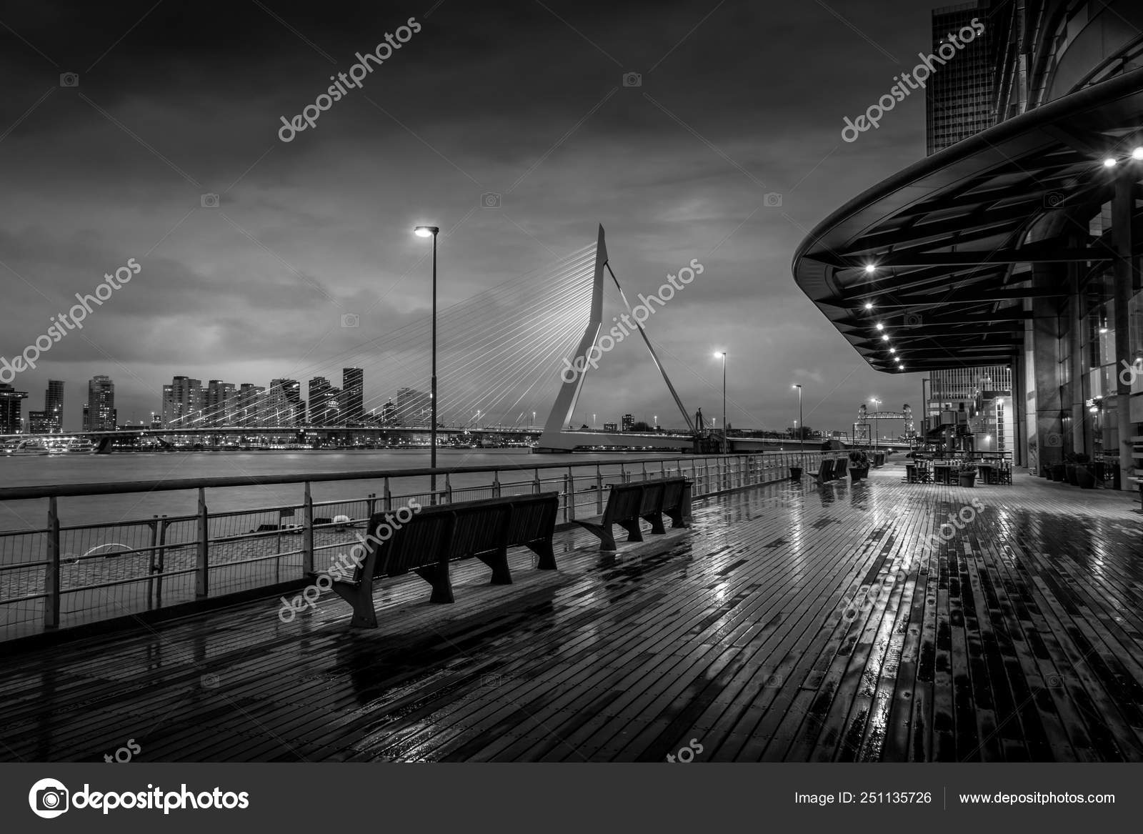 January 2019 Rotterdam Landscape View Kop Van Zuid Erasmus Bridge ...