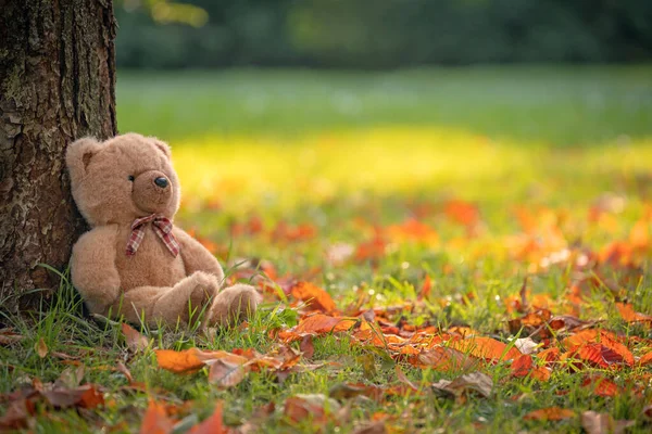 Urso de pelúcia na paisagem Stock Photos, Royalty Free Urso de pelúcia ...