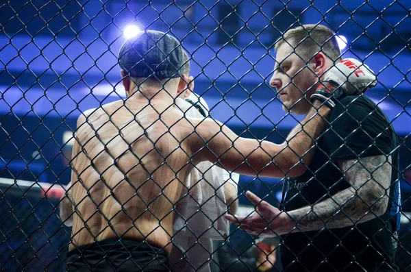 Cage fight Stock Photos, Royalty Free Cage fight Images | Depositphotos