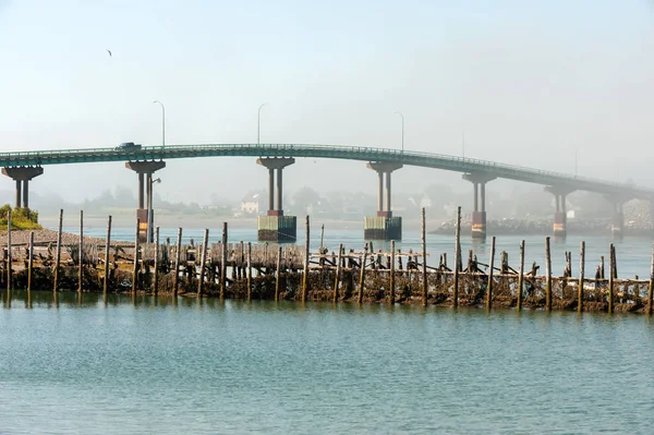 Confederation bridge — Stock Photo © Mliss #34101825