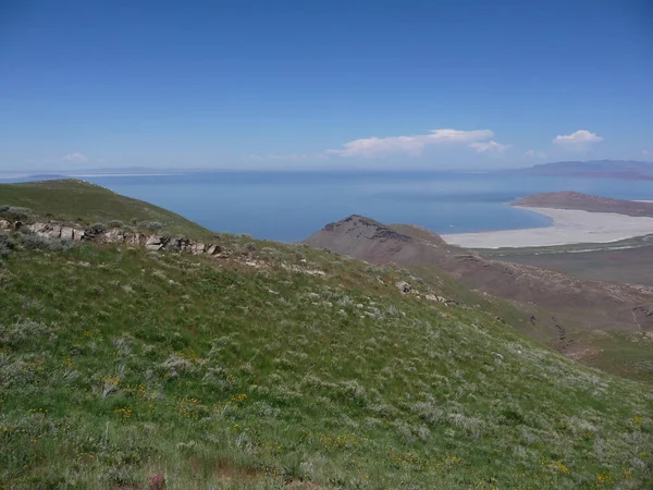 Utah antelope island Stock Photos, Royalty Free Utah antelope island ...