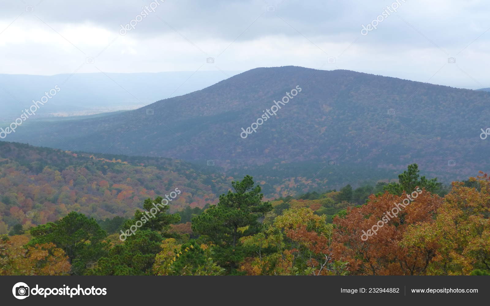 Amazing Nature Landscape Greenery Trees Stock Photo by ...