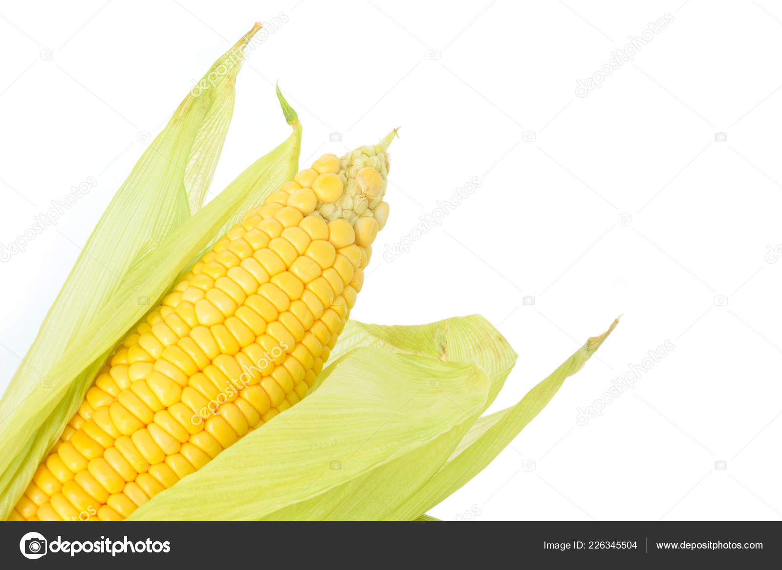 Corn Cob Husk Organic Food Nature Background — Stock Photo © anginta ...