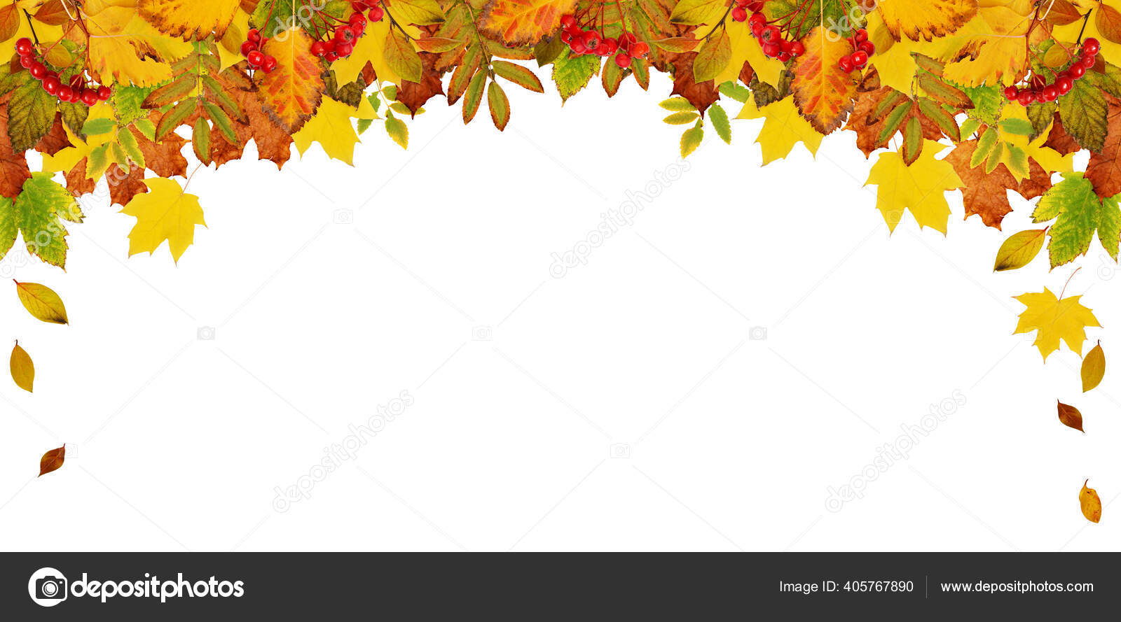 Fall Leaves Top Border