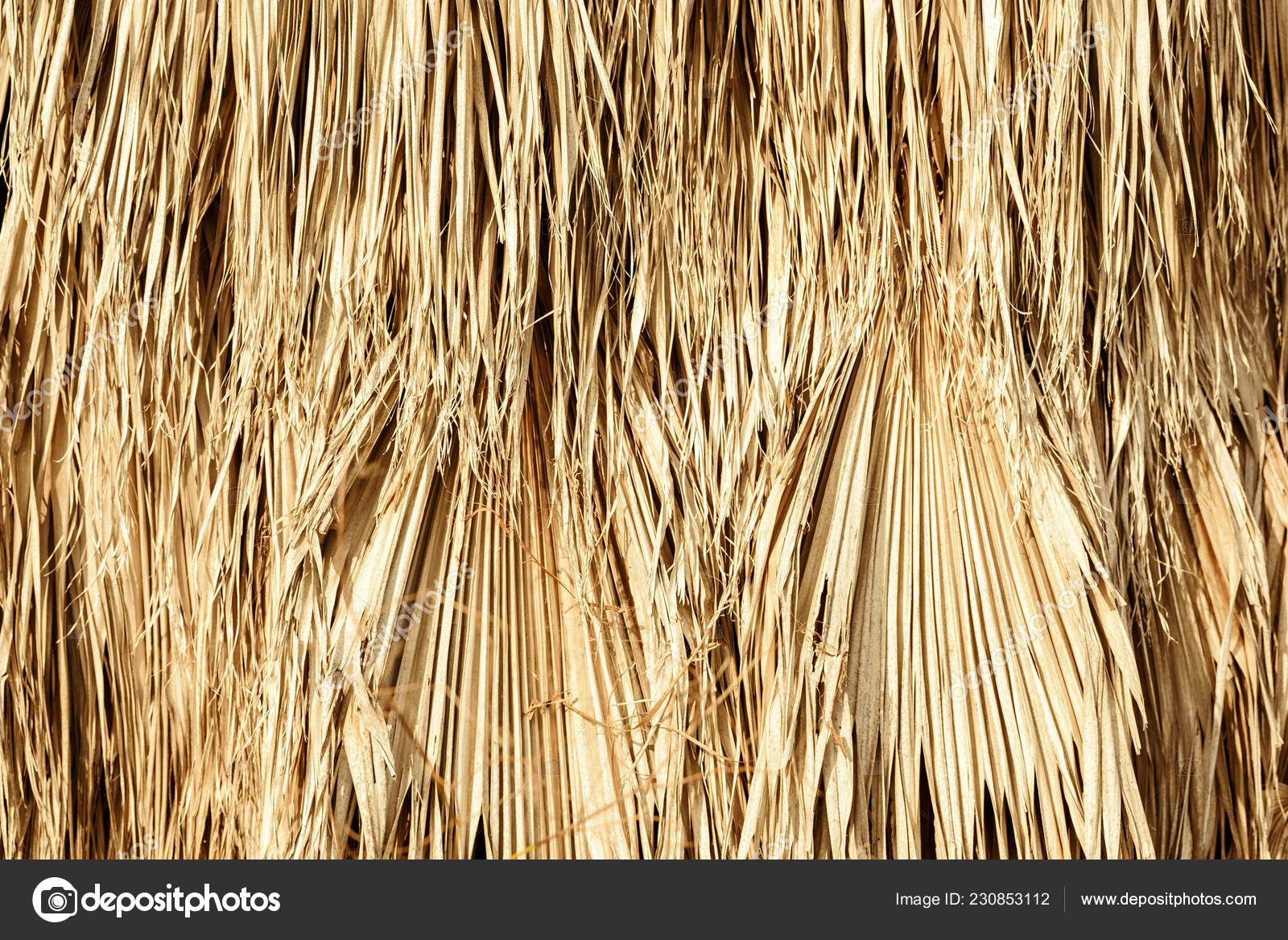 Dried Palm Straw Natural Texture Stock Photo by ©estudiosaavedra 230853112