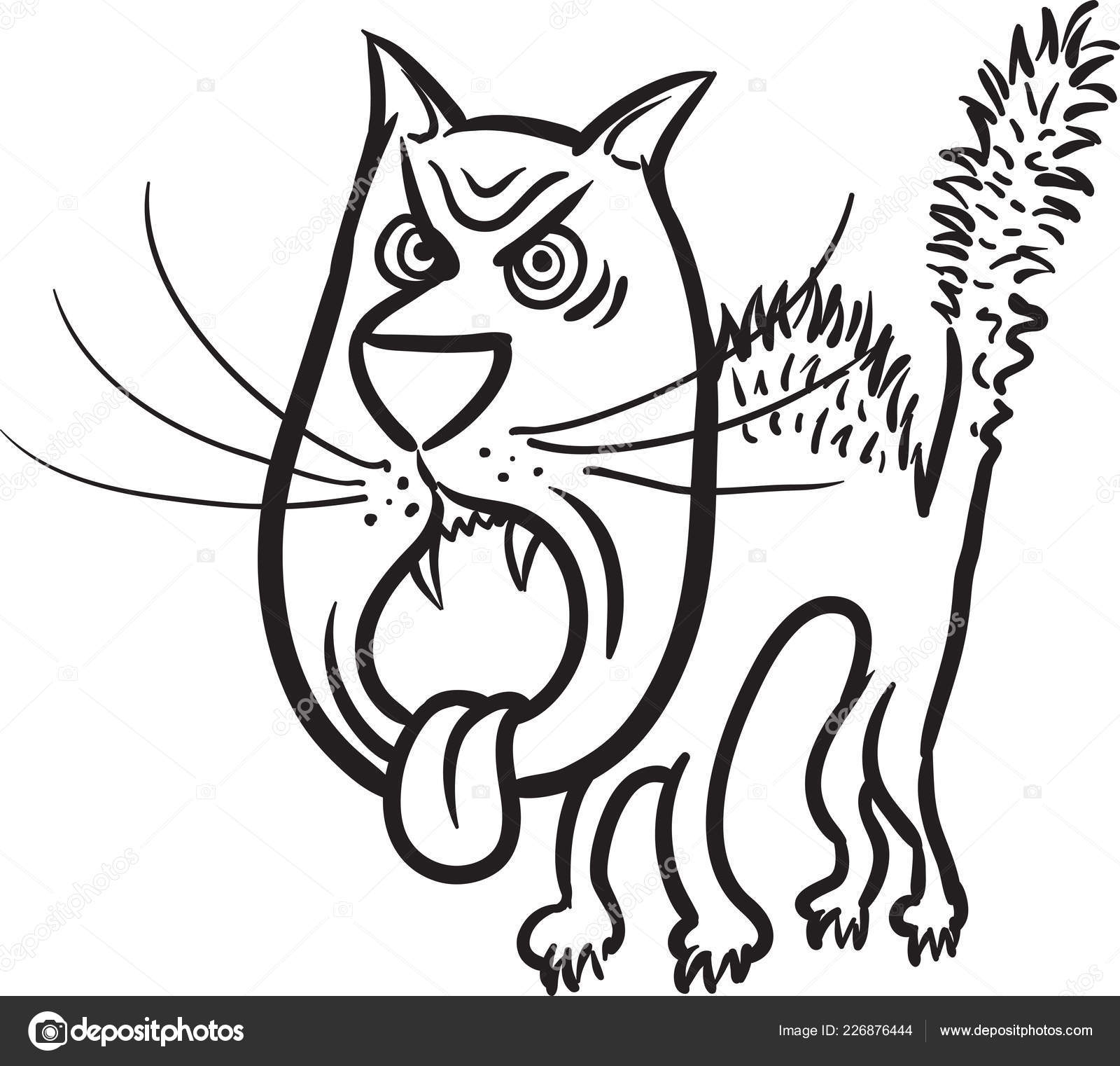 Crazy Cat Drawing
