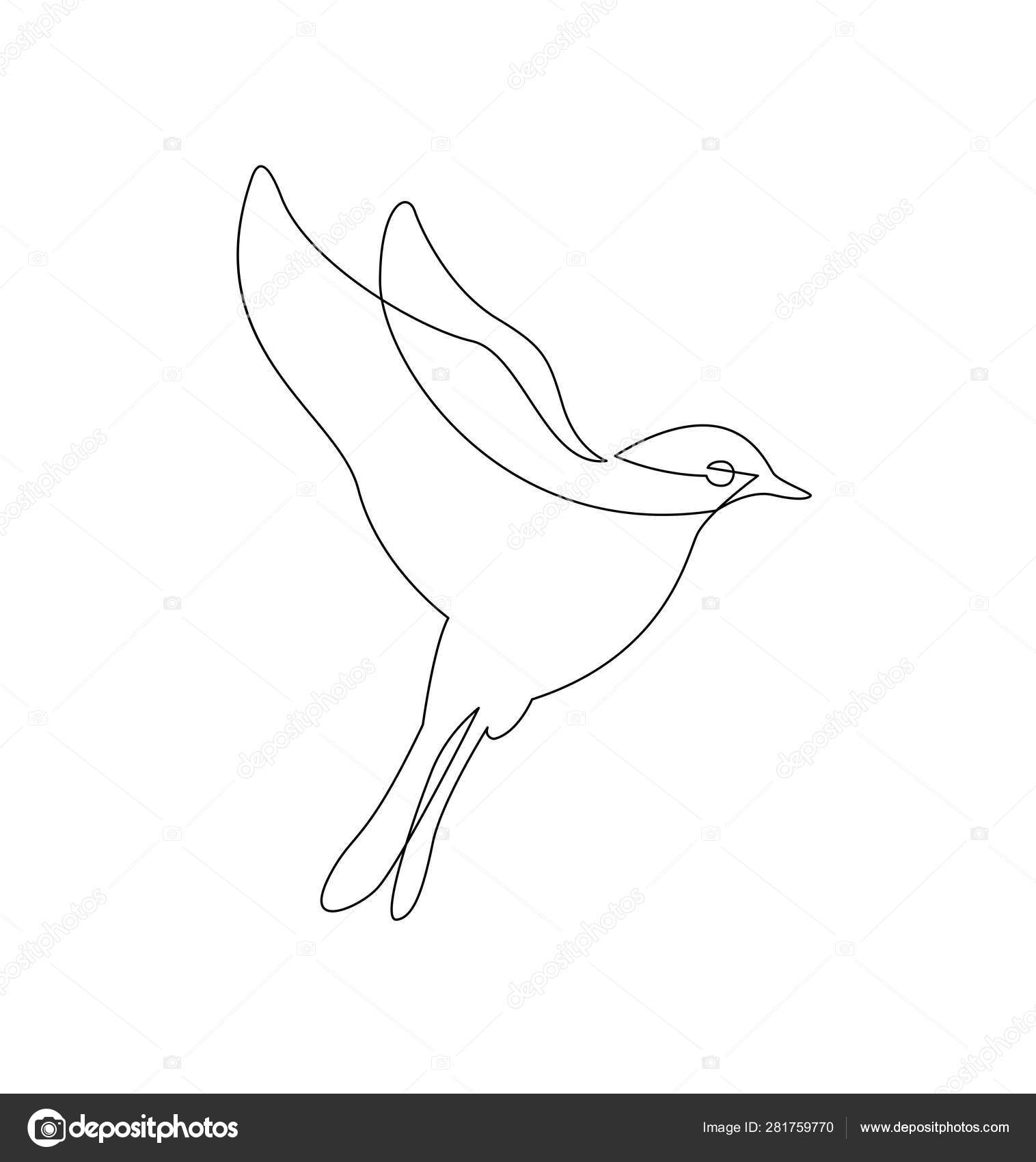Flying Bird Line Drawing Abstract Minimalist Line Flying Bird Draw