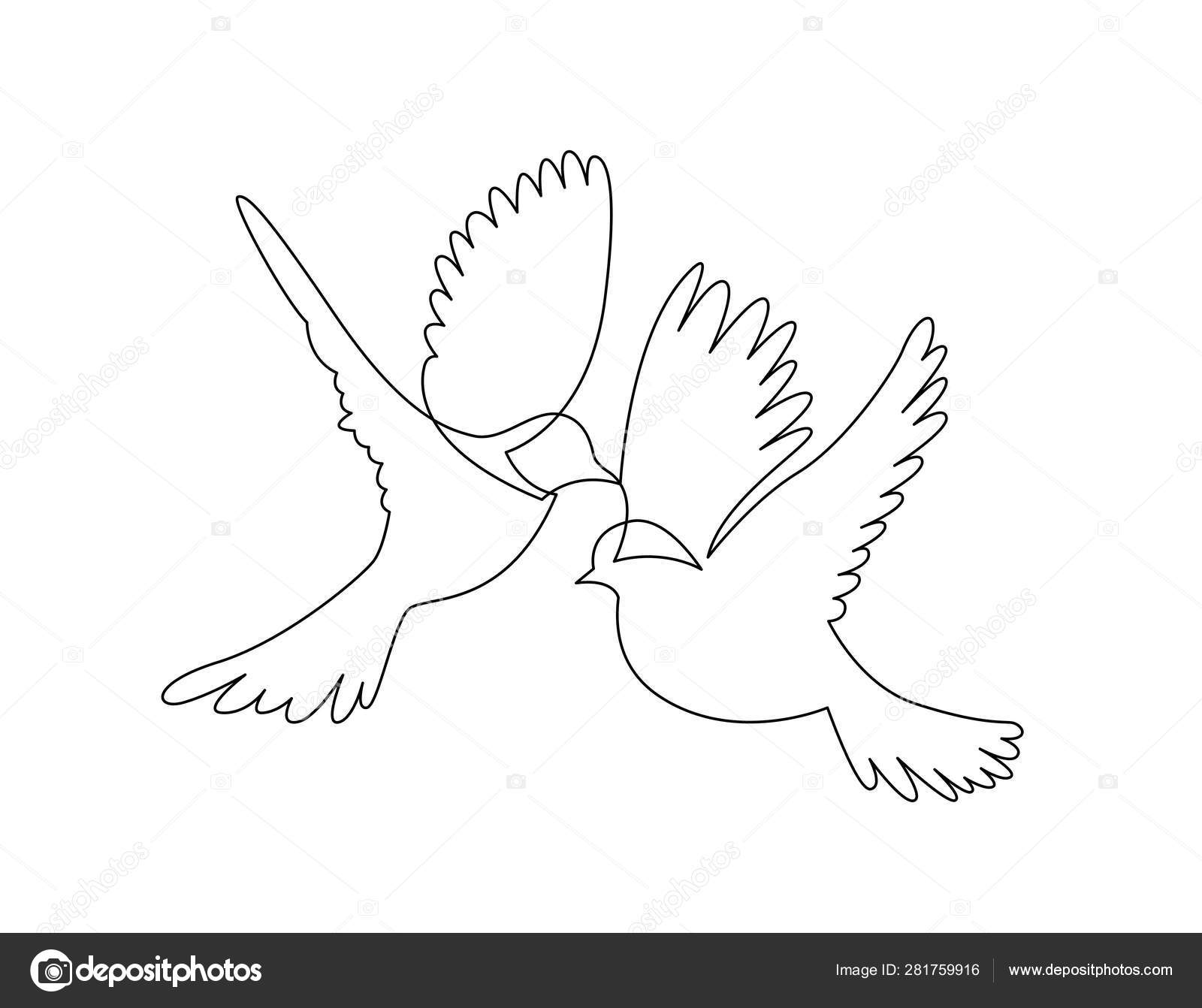 Two Flying Doves Drawing