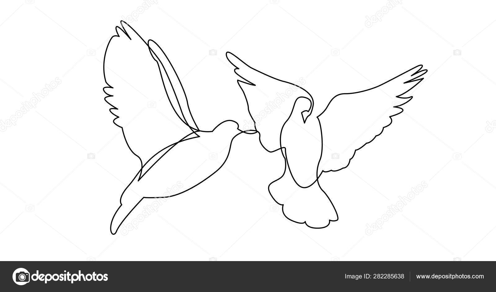 Two Birds Flying Drawing