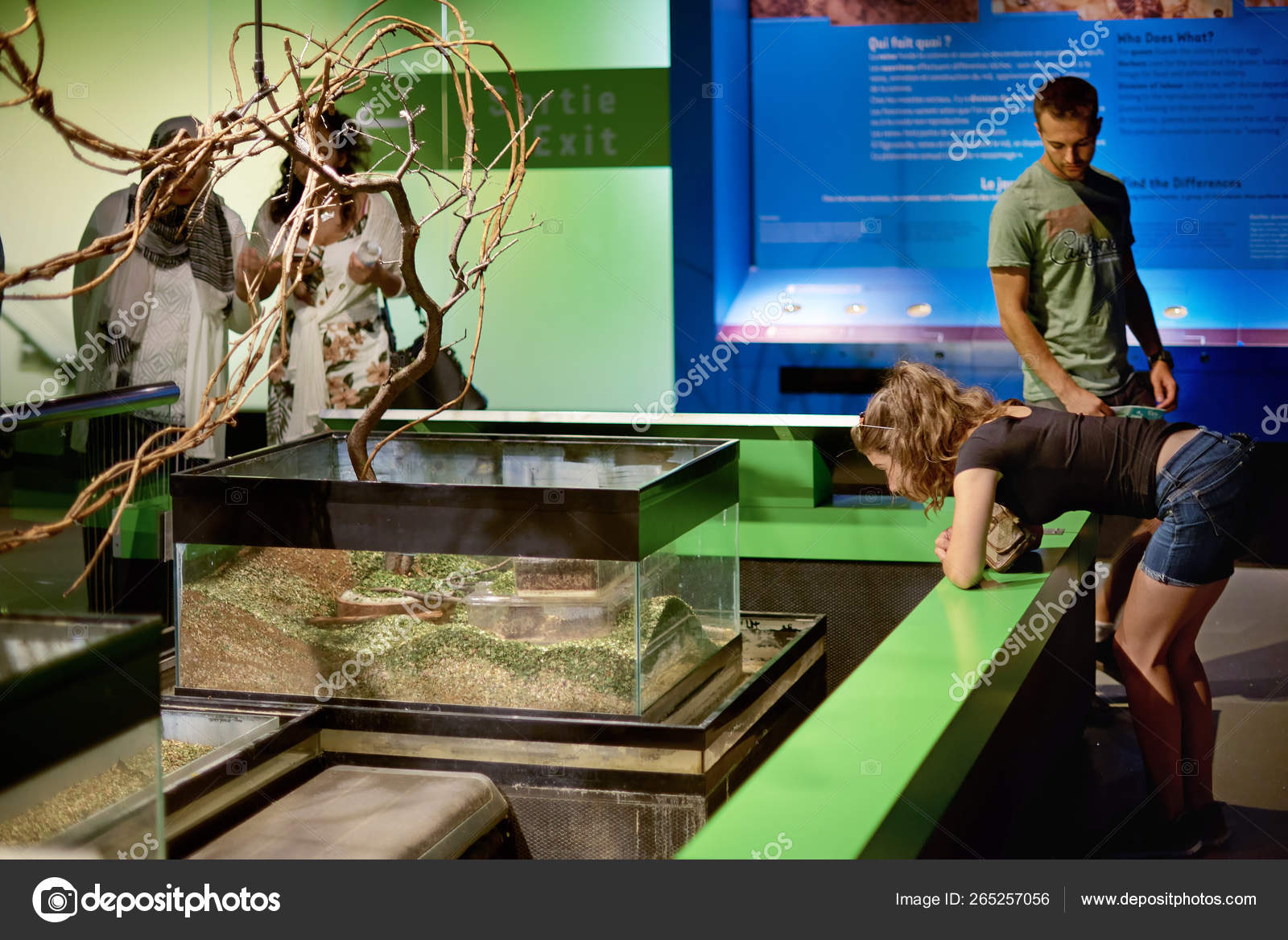 Montreal Insectarium