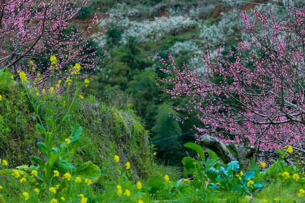 Park in springtime — Stock Photo © Hannamariah #11105194