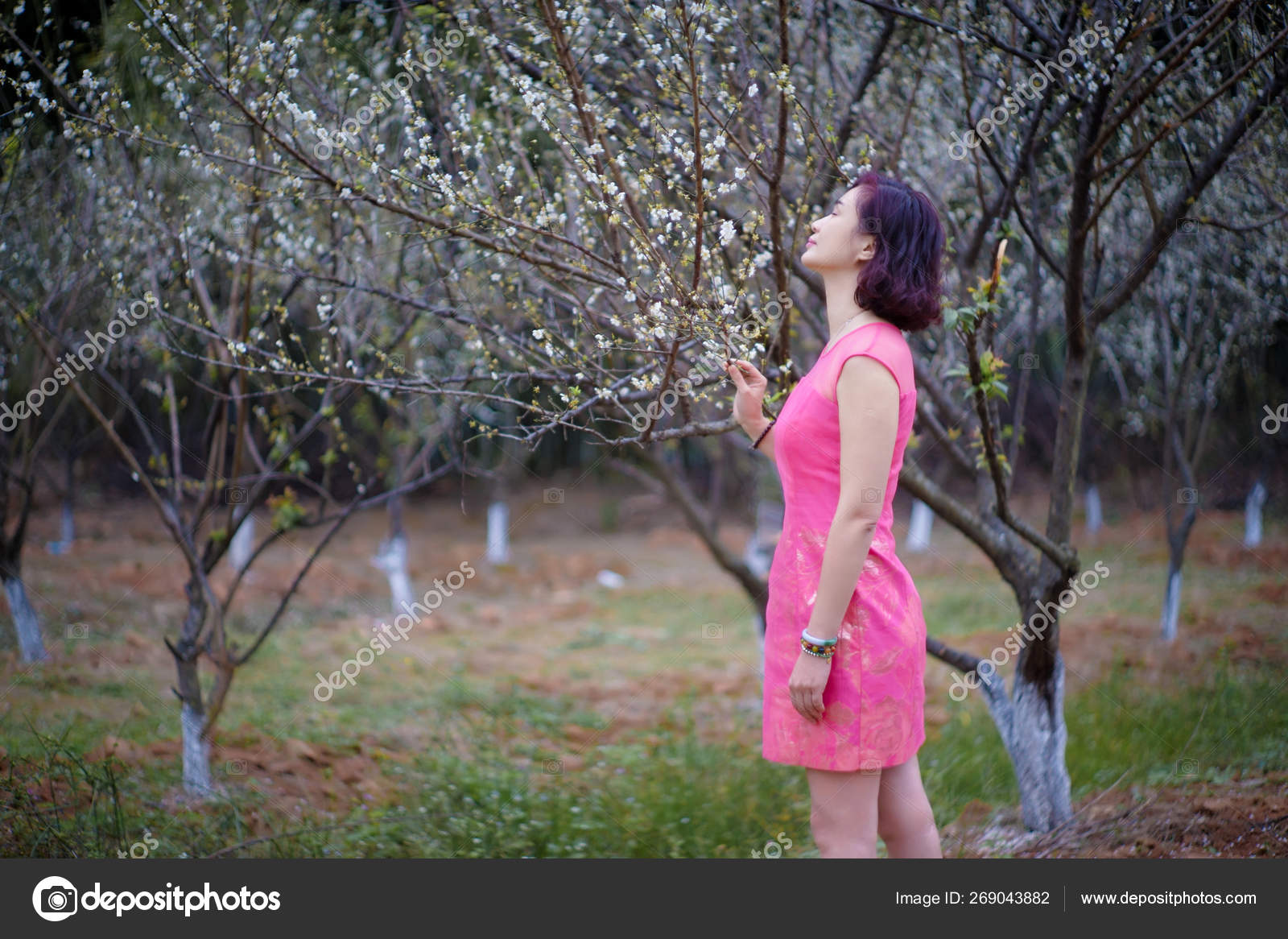 Portrait Young Woman Posing Spring Garden — Stock Photo © Imaginechina ...