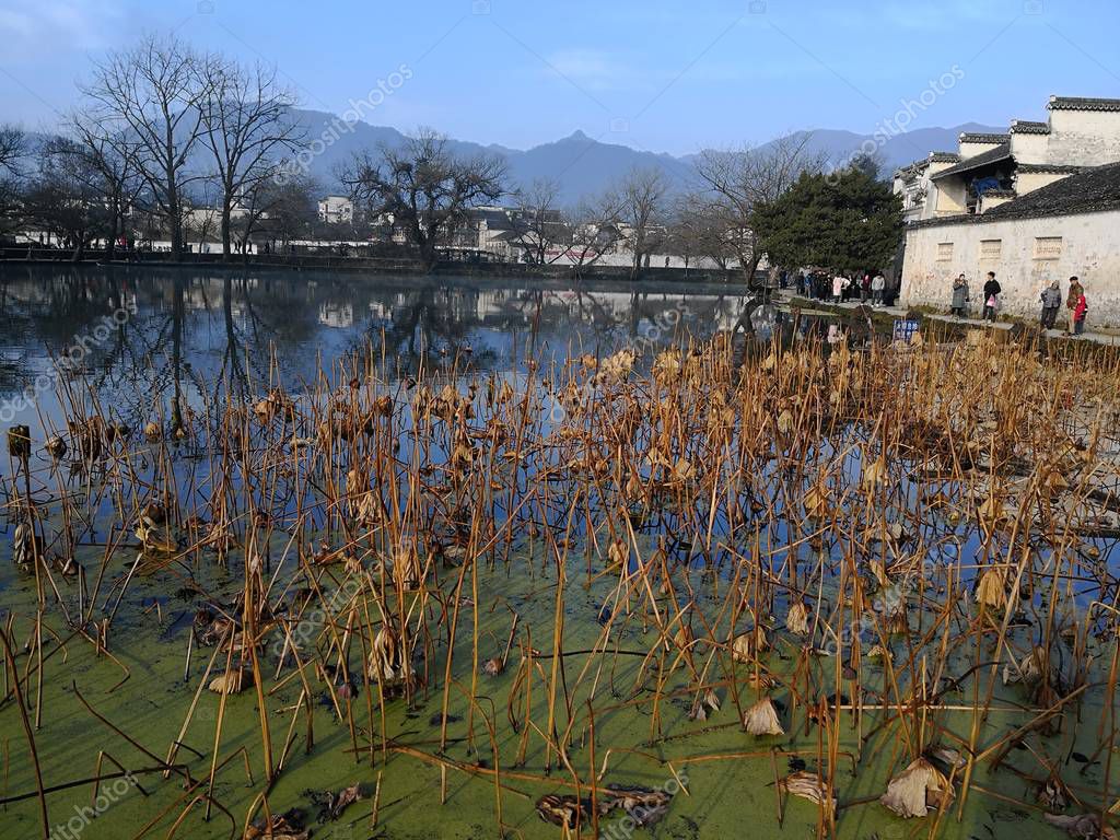 vista del casco antiguo de la ciudad de los árboles de triel 2022
