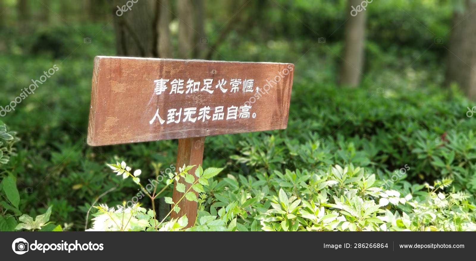 Sign Road Forest – Stock Editorial Photo © Imaginechina-Tuchong #286266864