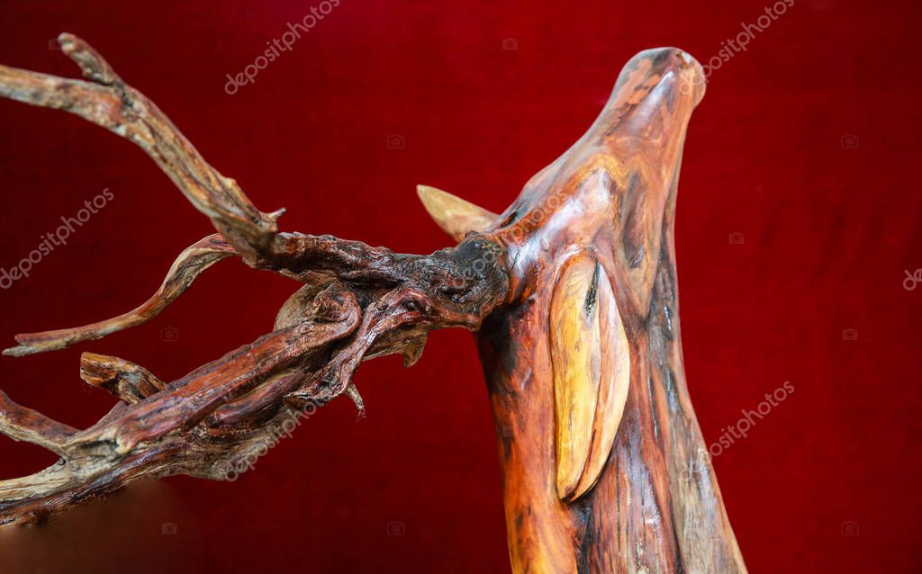 árbol muerto en la naturaleza 2024