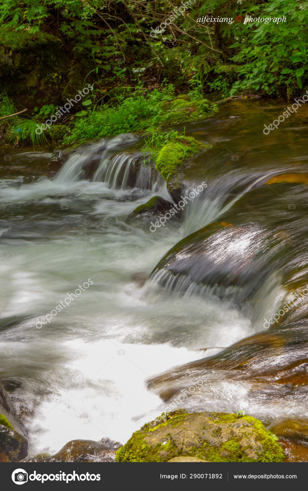 Beautiful Stream Forest — Stock Photo © Imaginechina-Tuchong #290071892