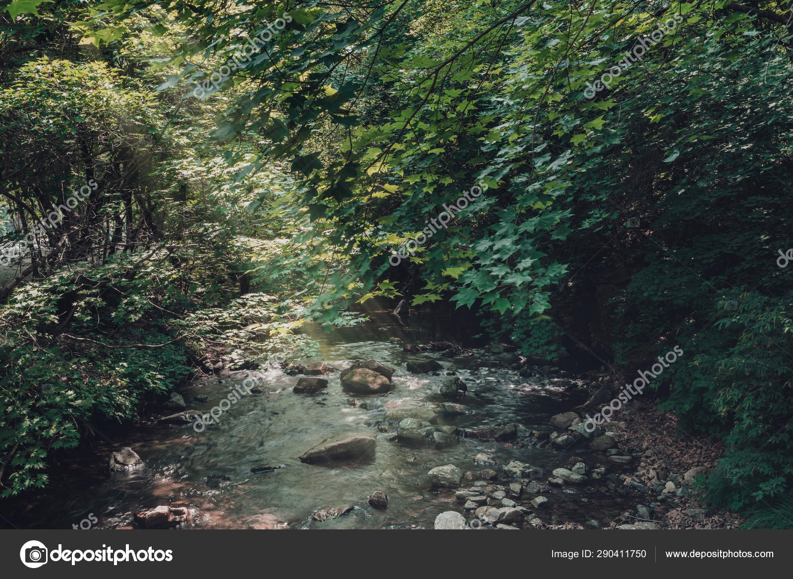Beautiful Green River Forest — Stock Photo © Imaginechina-Tuchong ...