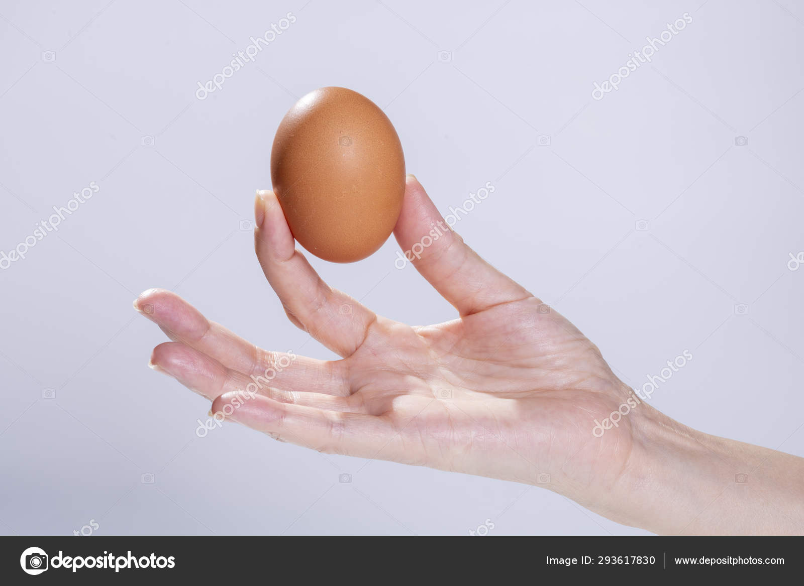 Female Hands Holding Egg Hand Isolated White Background Stock Photo by ...
