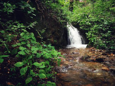 Stunning Waterfall Stock Photo by ©kwest 5215754