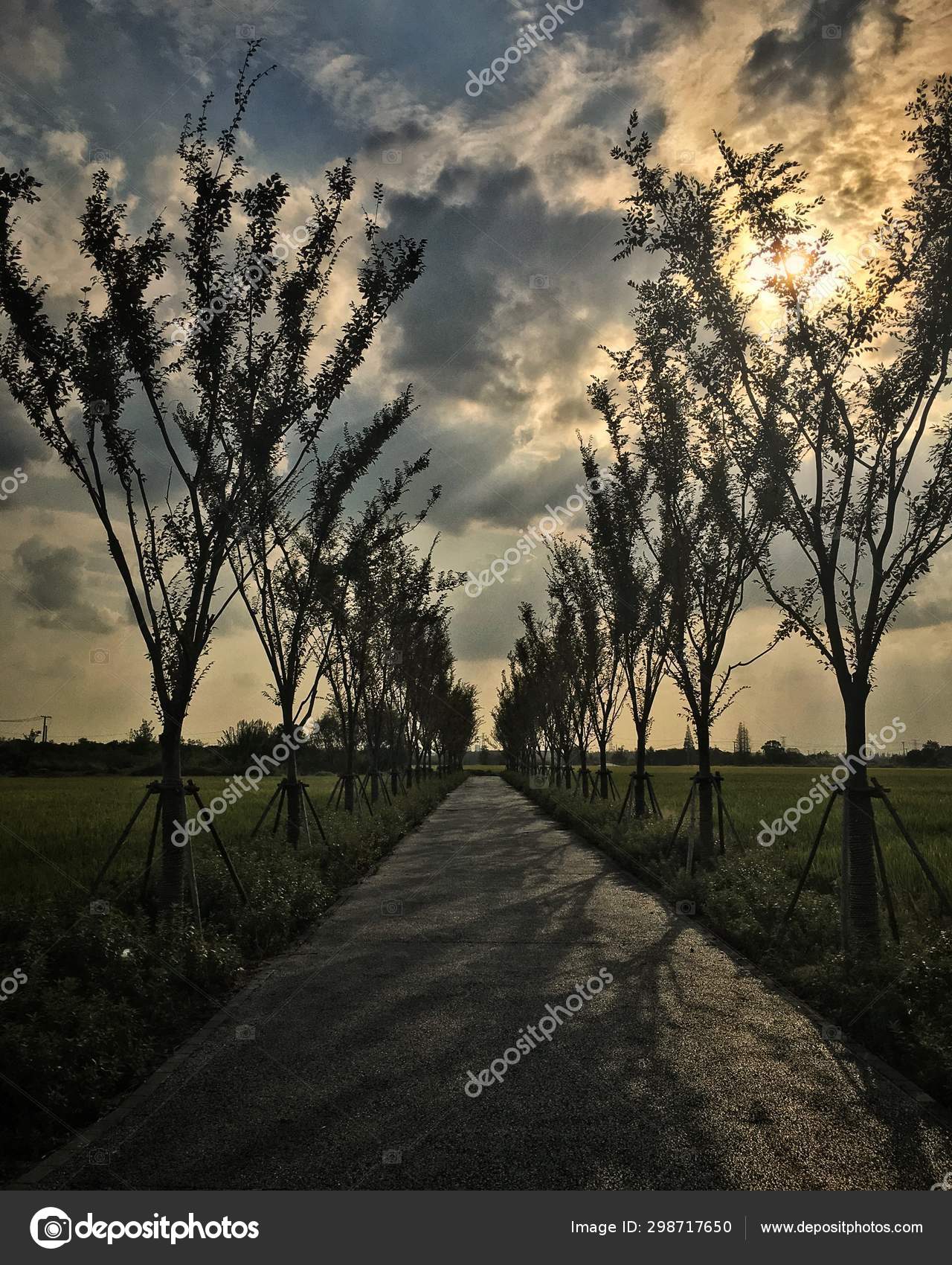 Beautiful Sunset Park — Stock Photo © Imaginechina-Tuchong #298717650