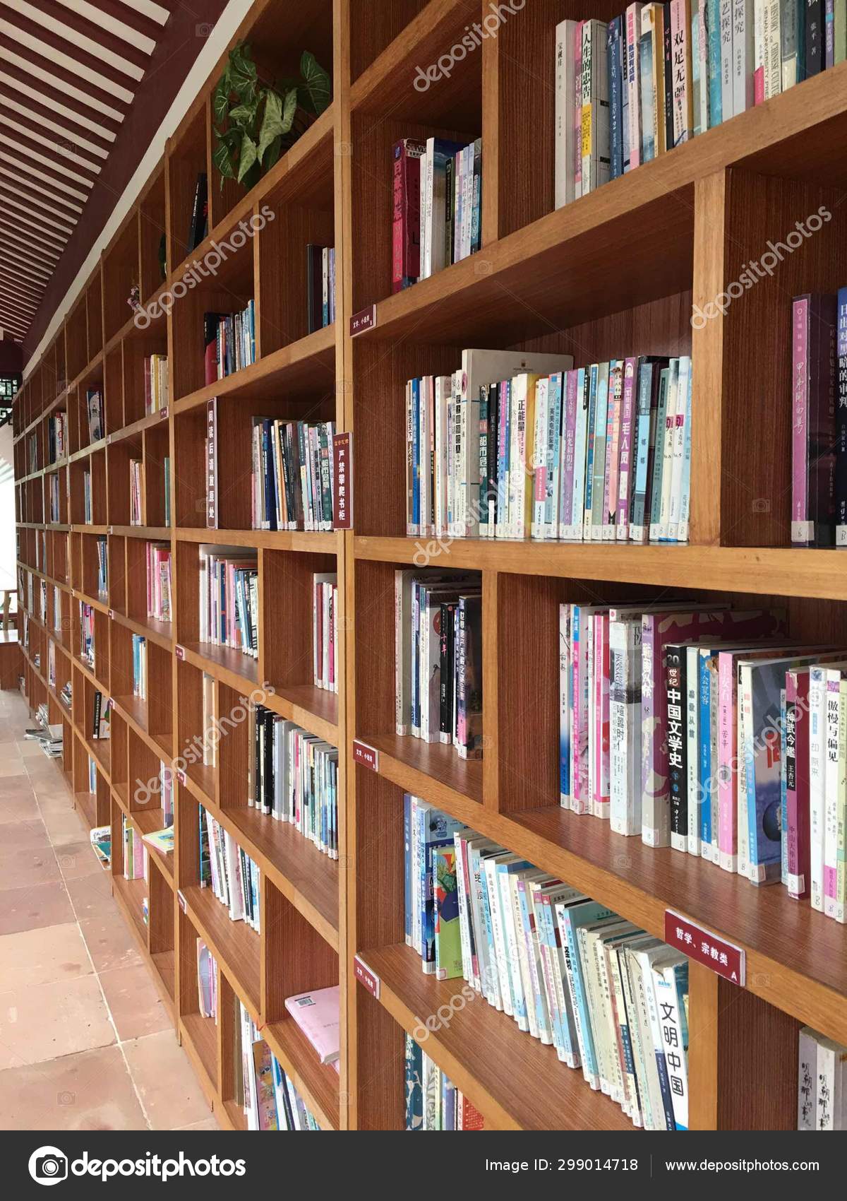 Bookstore Shop Interior Library Literature Books – Stock Editorial ...