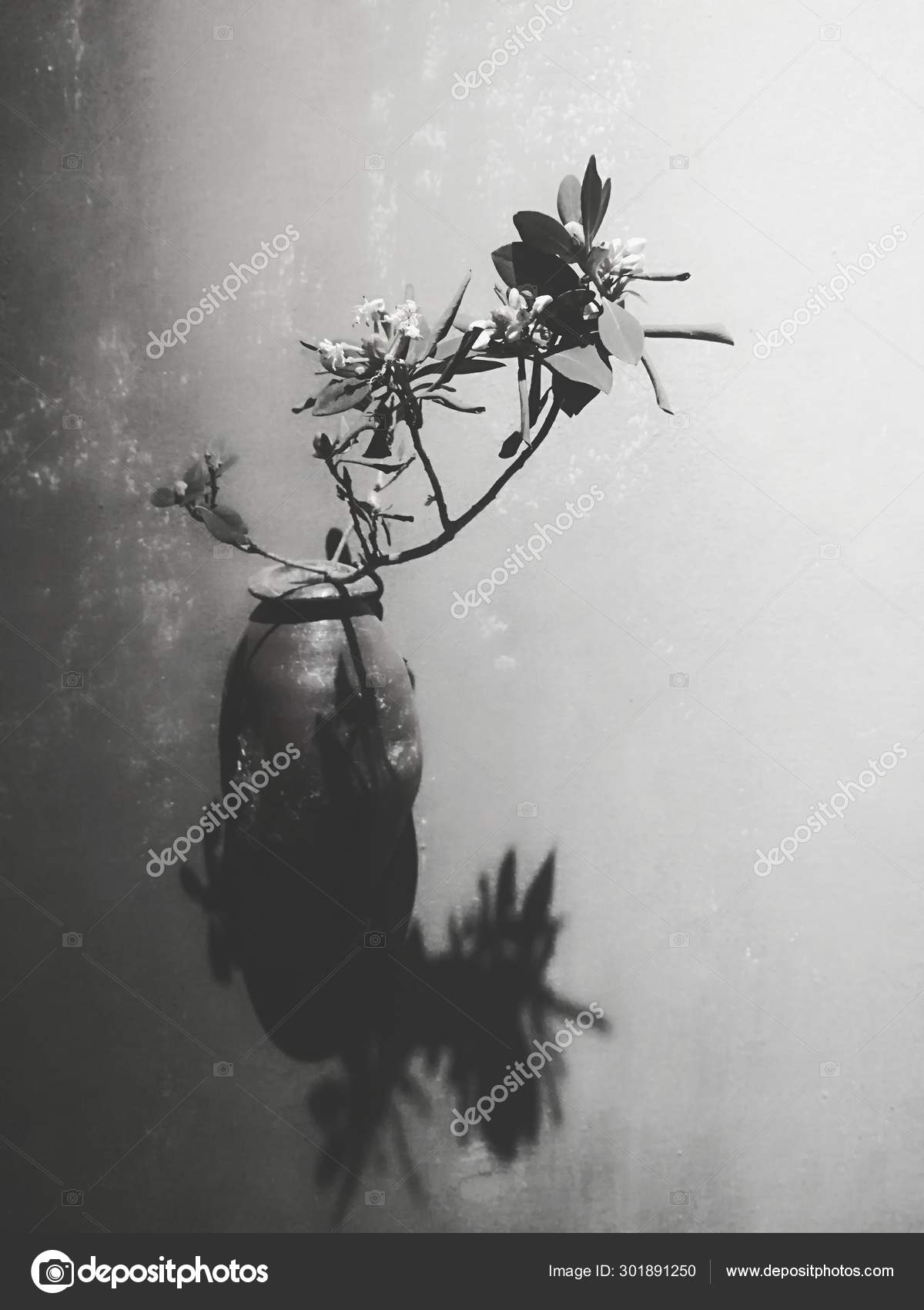 Beautiful Red Flower Background Tree — Stock Photo © Imaginechina ...