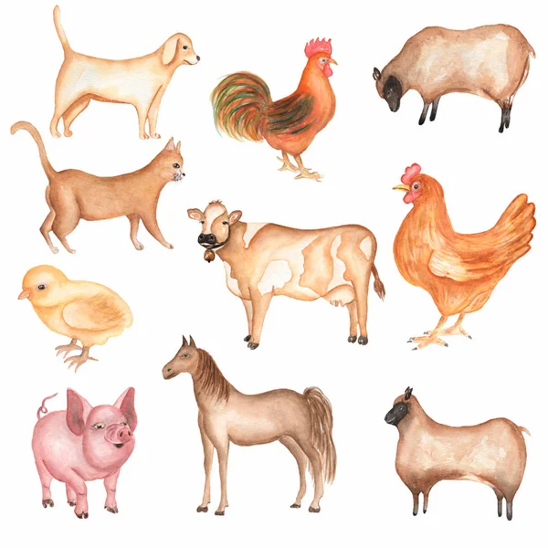 Watercolor hand drawn farms animal set. Cute domestic pets watercolor ...