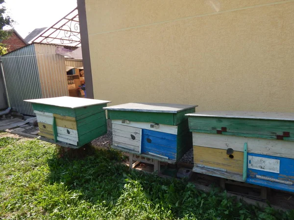 Romania bee hives Stock Photos, Royalty Free Romania bee hives Images ...