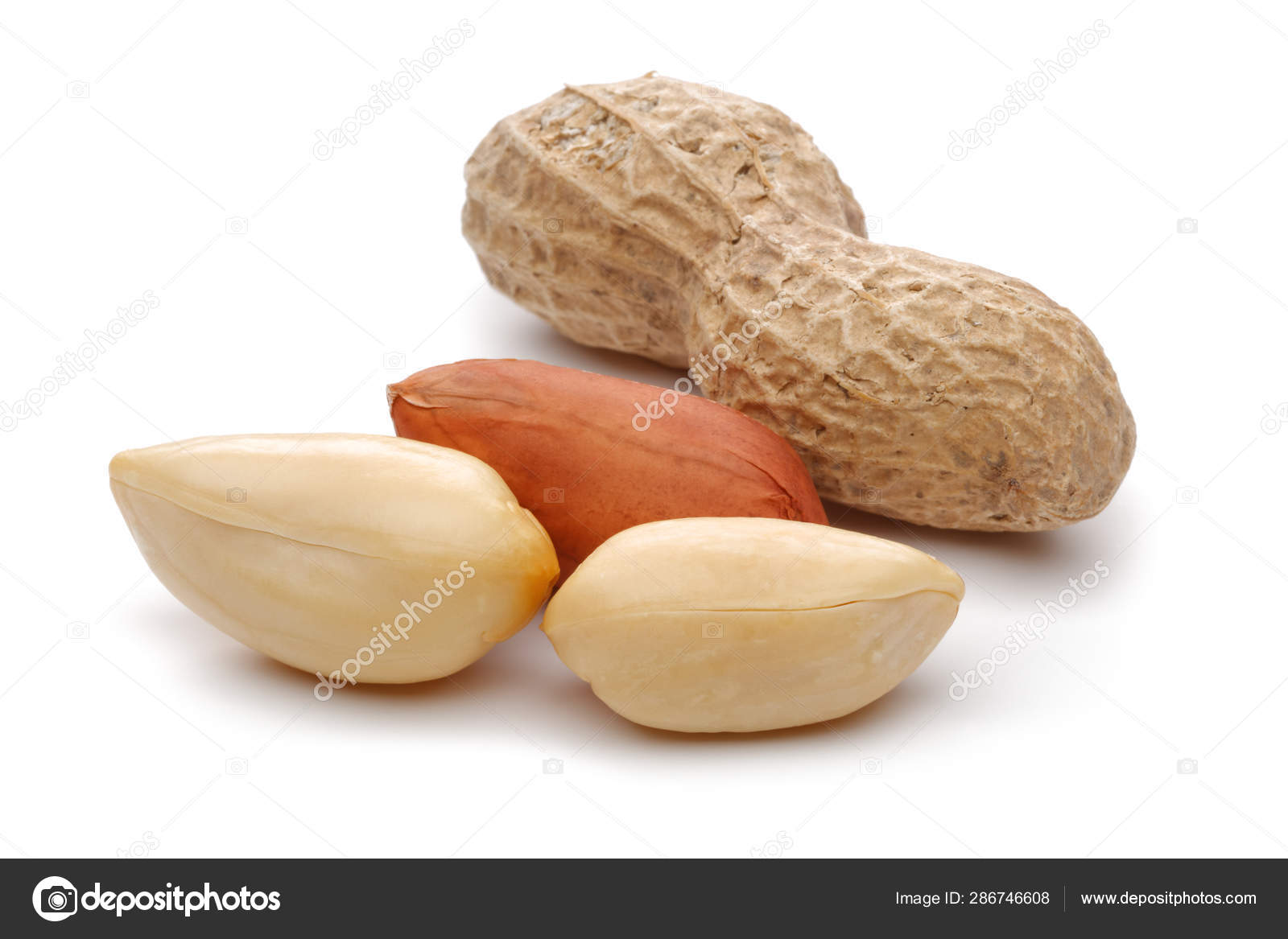 Peanuts isolated on white background — Stock Photo © mahirart #286746608