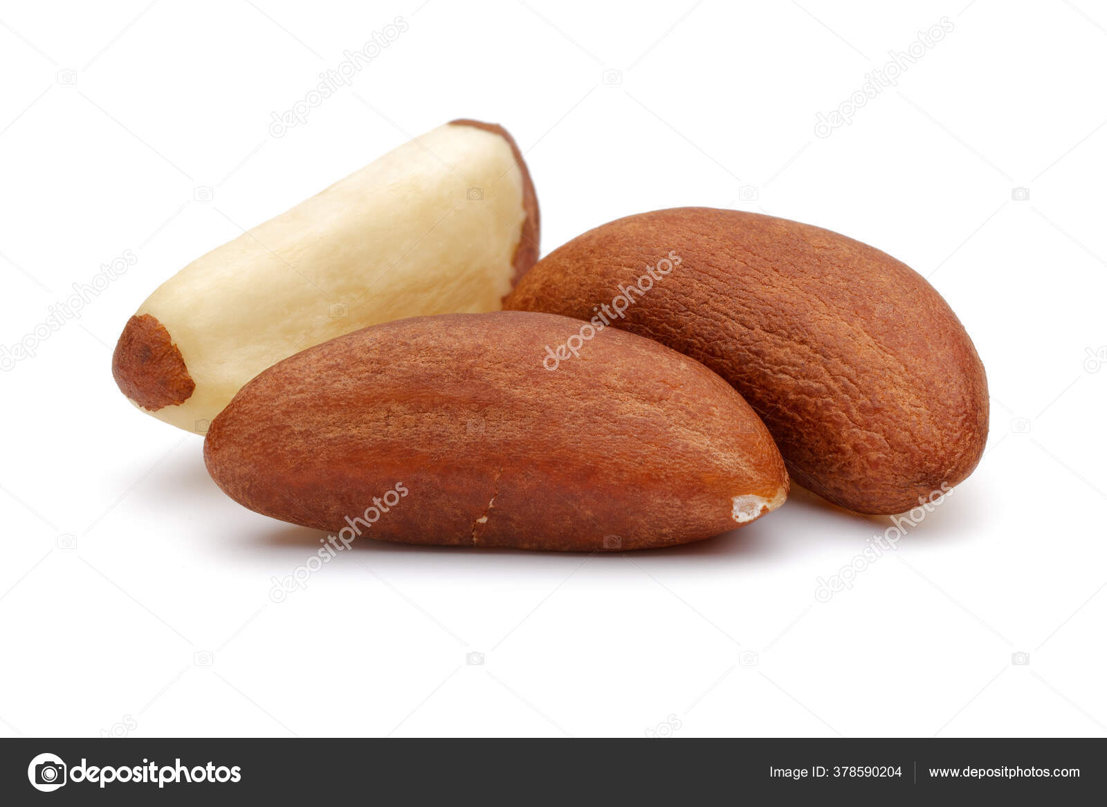 Brazil Nuts Isolated White Background — Stock Photo © mahirart #378590204