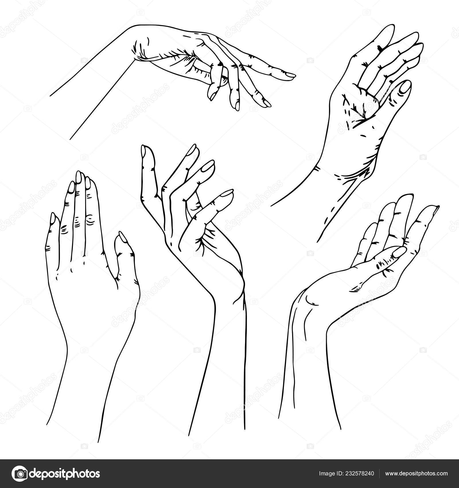 Set Female Hands White Background Stock Vector Image by ©ilyukolga ...