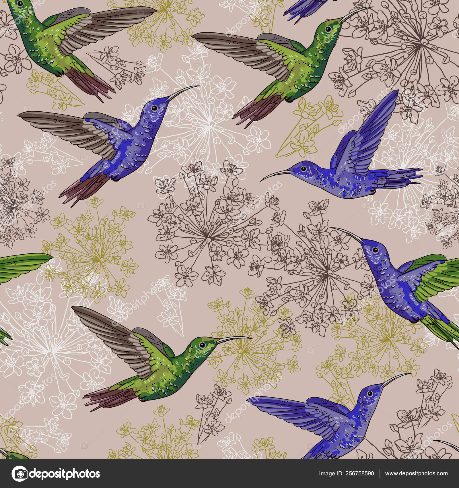 Colored flying hummingbirds in colors Stock Vector Image by ©ilyukolga ...