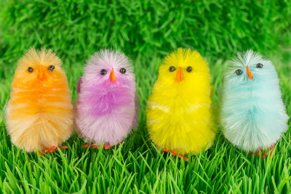 Pollitos de color fotos de stock, imágenes de Pollitos de color sin ...