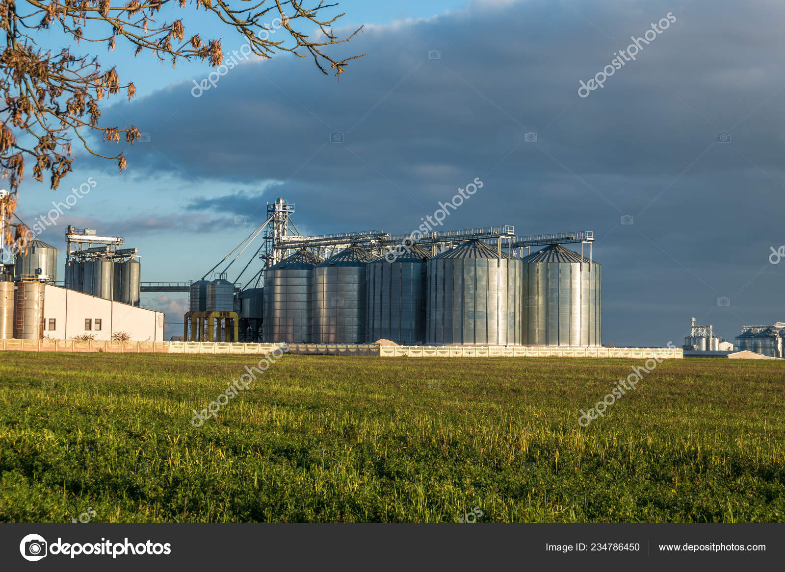 Agro Processing Plant Processing Silos Drying Cleaning Storage ...