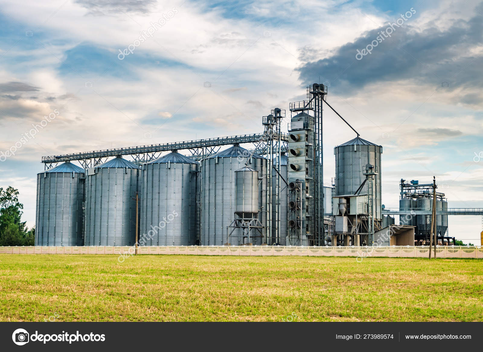 Agro-processing plant for processing and silos for drying cleaning and ...