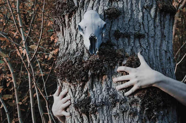 Creepy hands Stock Photos, Royalty Free Creepy hands Images | Depositphotos